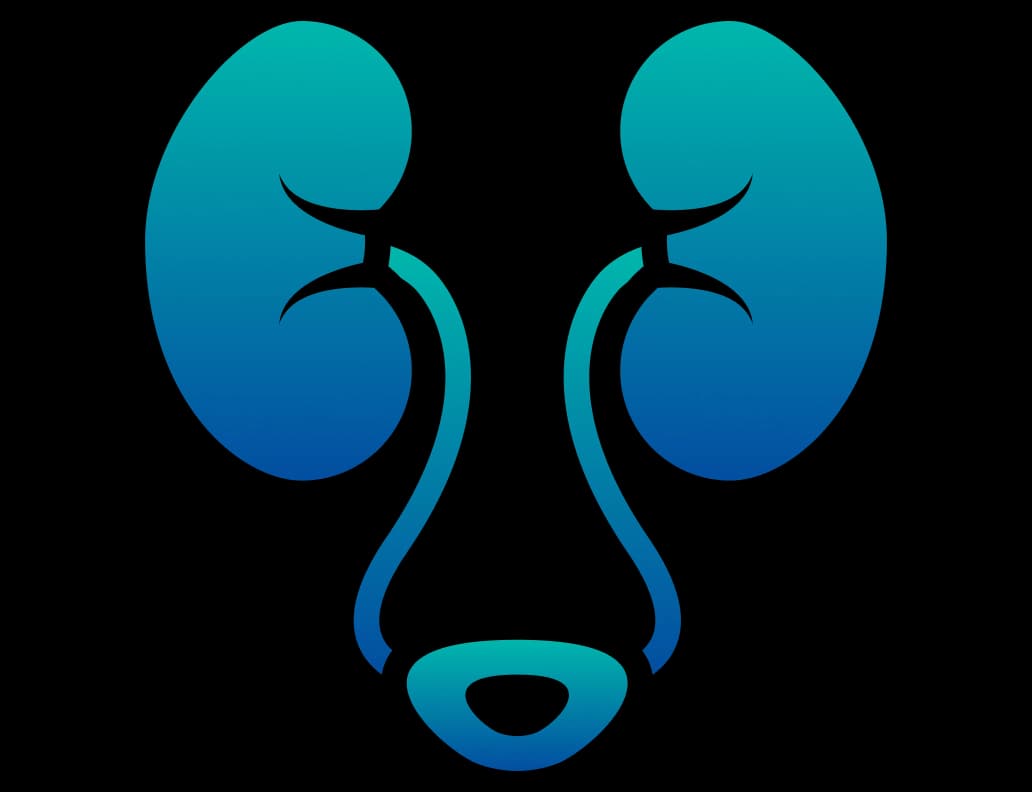 Best Urology Hospital for Kidney & Urinary Care | Manipal Hospitals Global